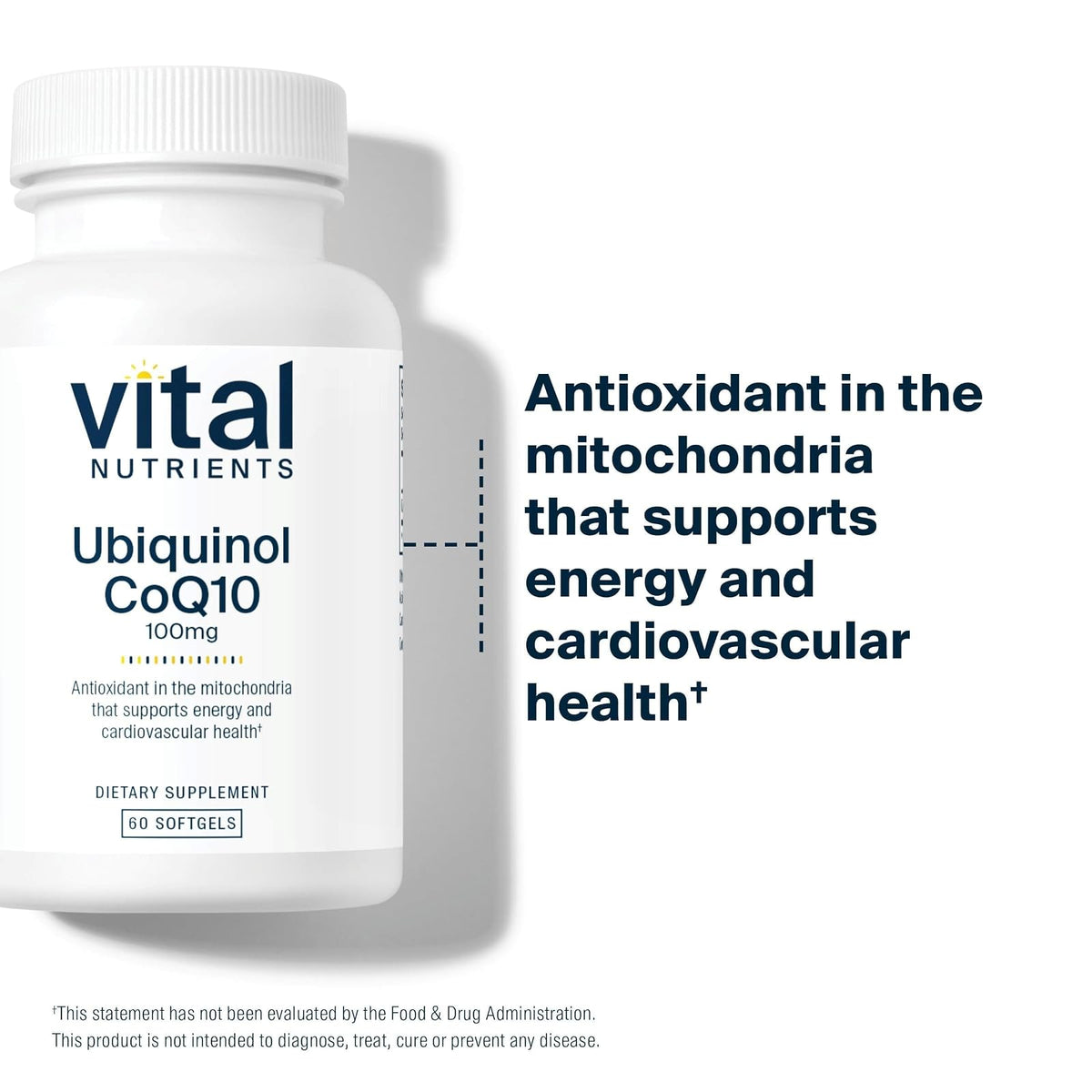 energy support with coq10 100 mg