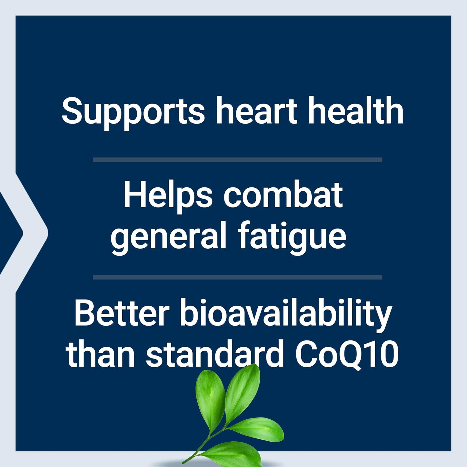 energy support with coq10 softgels