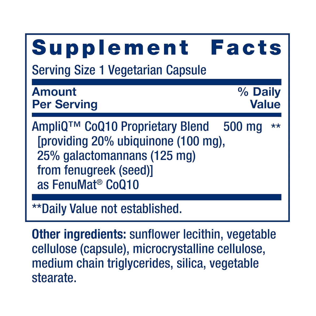 energy support with CoQ10 supplement