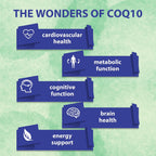 energy support with coq10 ubiquinol