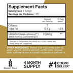 energy support with coq10