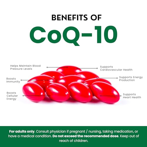 energy support with coq10