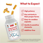 energy support with coq10