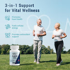 energy support with CoQ10