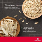 energy support with ginseng and astragalus