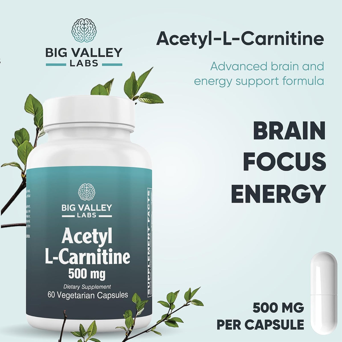 energy support with L-Carnitine
