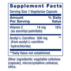energy support with l-carnitine