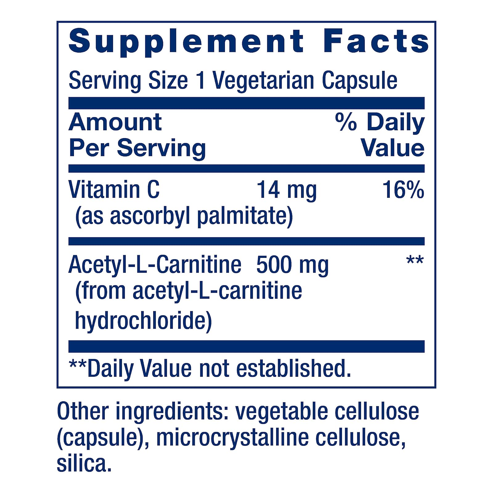 energy support with l-carnitine