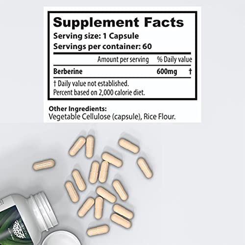 energy support with plant-based nutrients