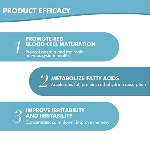 energy support with vitamin B12