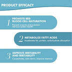 energy support with vitamin B12