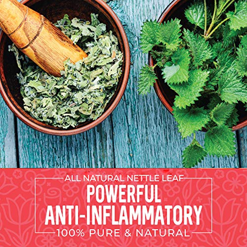 energy tonic nettle leaf infusion
