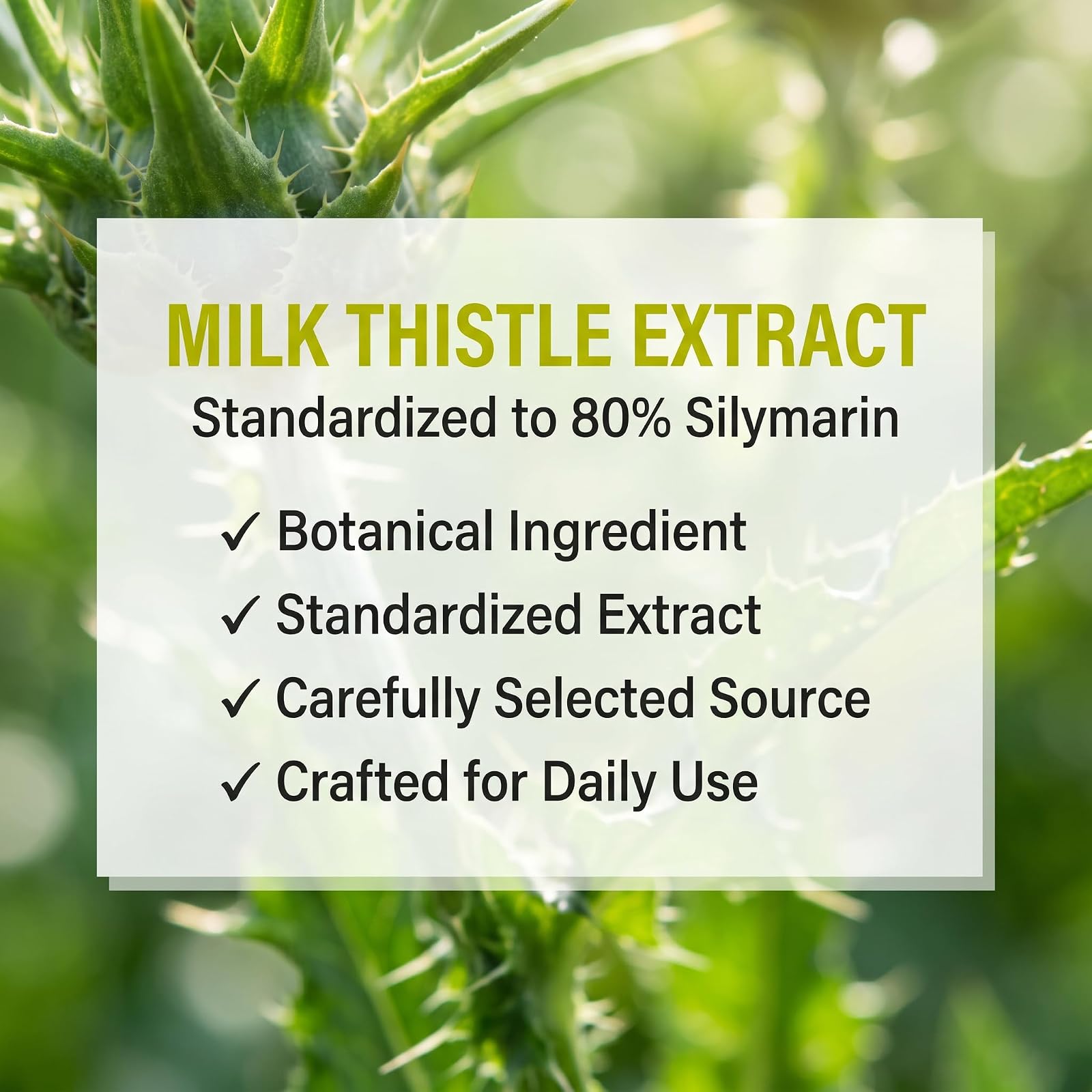Enerra Milk Thistle natural antioxidant