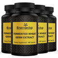 Enerrgecko mushrooms for immune support