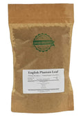 English Plantain Leaf herbal tea benefits