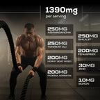 enhance athletic performance with Alpha Core