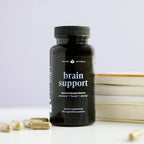 enhance brain function with lion's mane