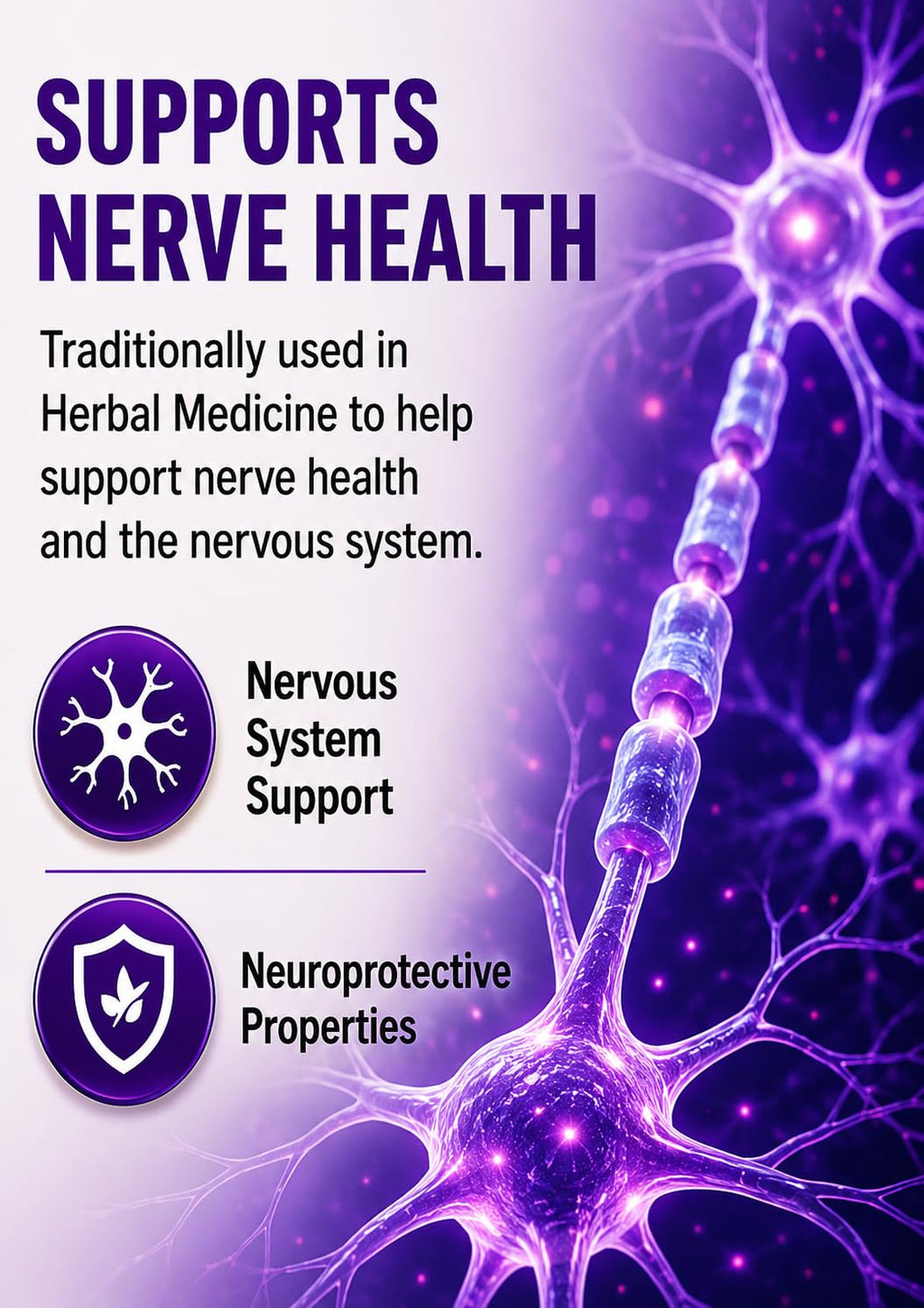 Enhance brain function with mushrooms