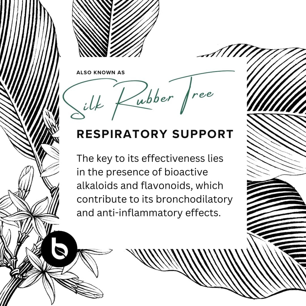 enhance breathing with herbal supplements