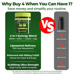 Enhance cellular energy production