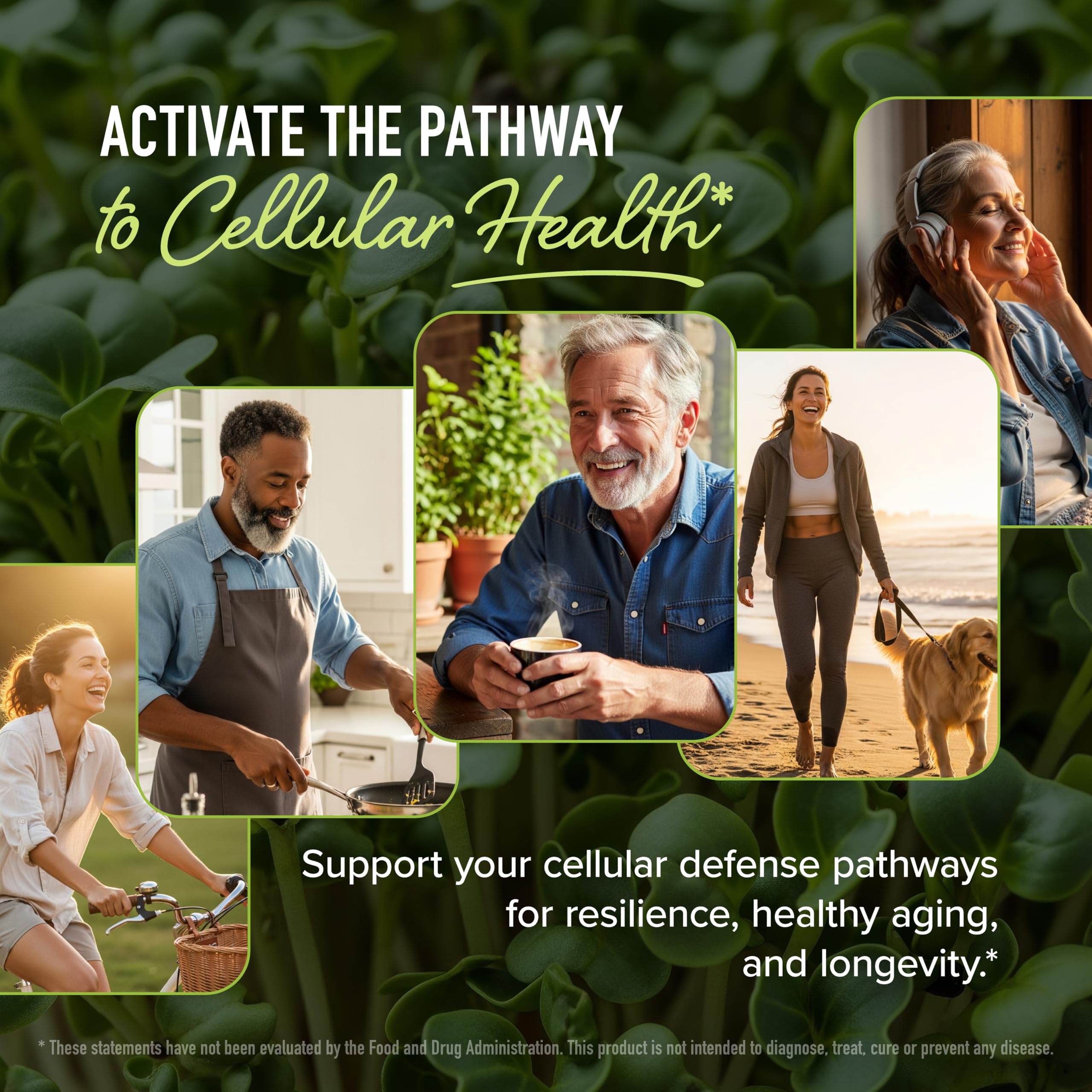 Enhance cellular function with sulforaphane