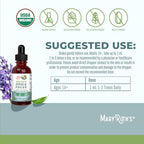 enhance cognitive function ginkgo biloba