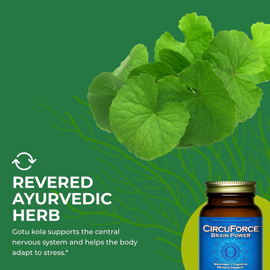 enhance cognitive function ginkgo biloba