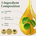 enhance cognitive function Gotu Kola