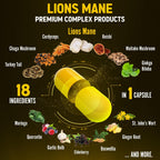 enhance cognitive function lion's mane