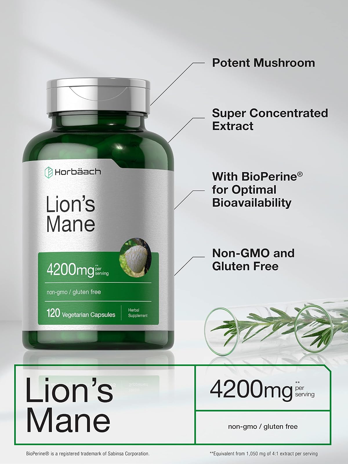 enhance cognitive function lion's mane