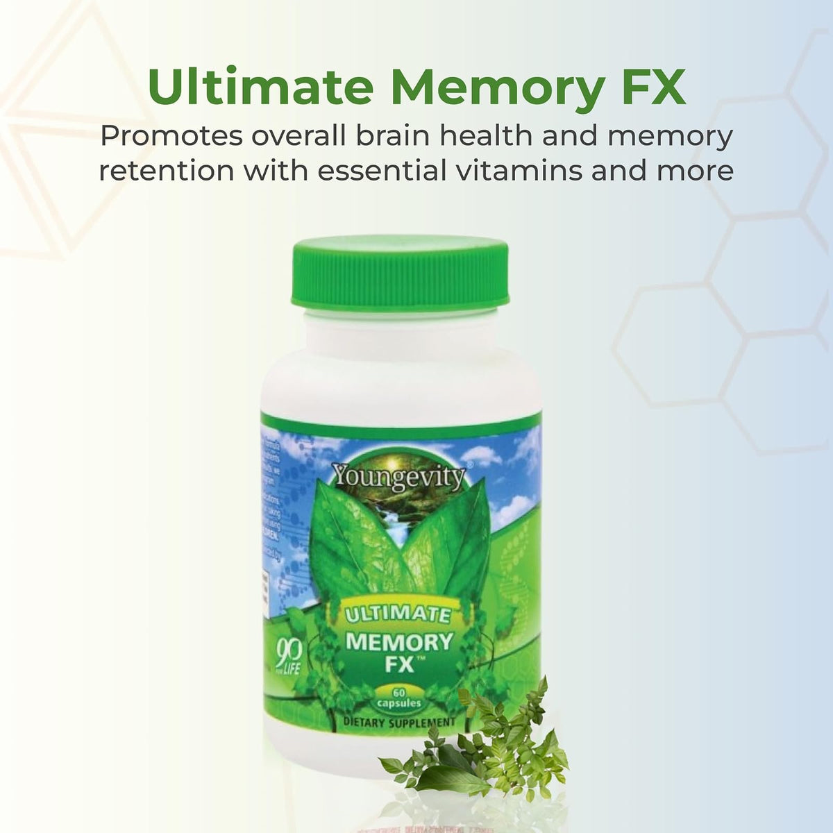enhance cognitive function multivitamins