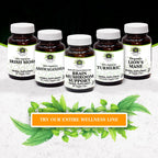 enhance cognitive function mushrooms