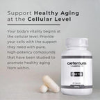 enhance cognitive function naturally