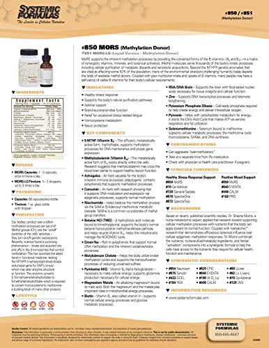 enhance cognitive function with blended supplements