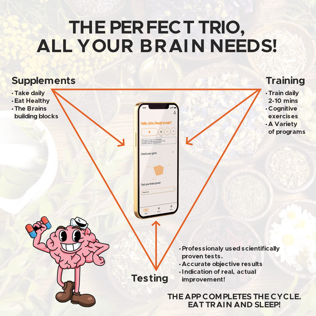 enhance cognitive function with Brain Gain