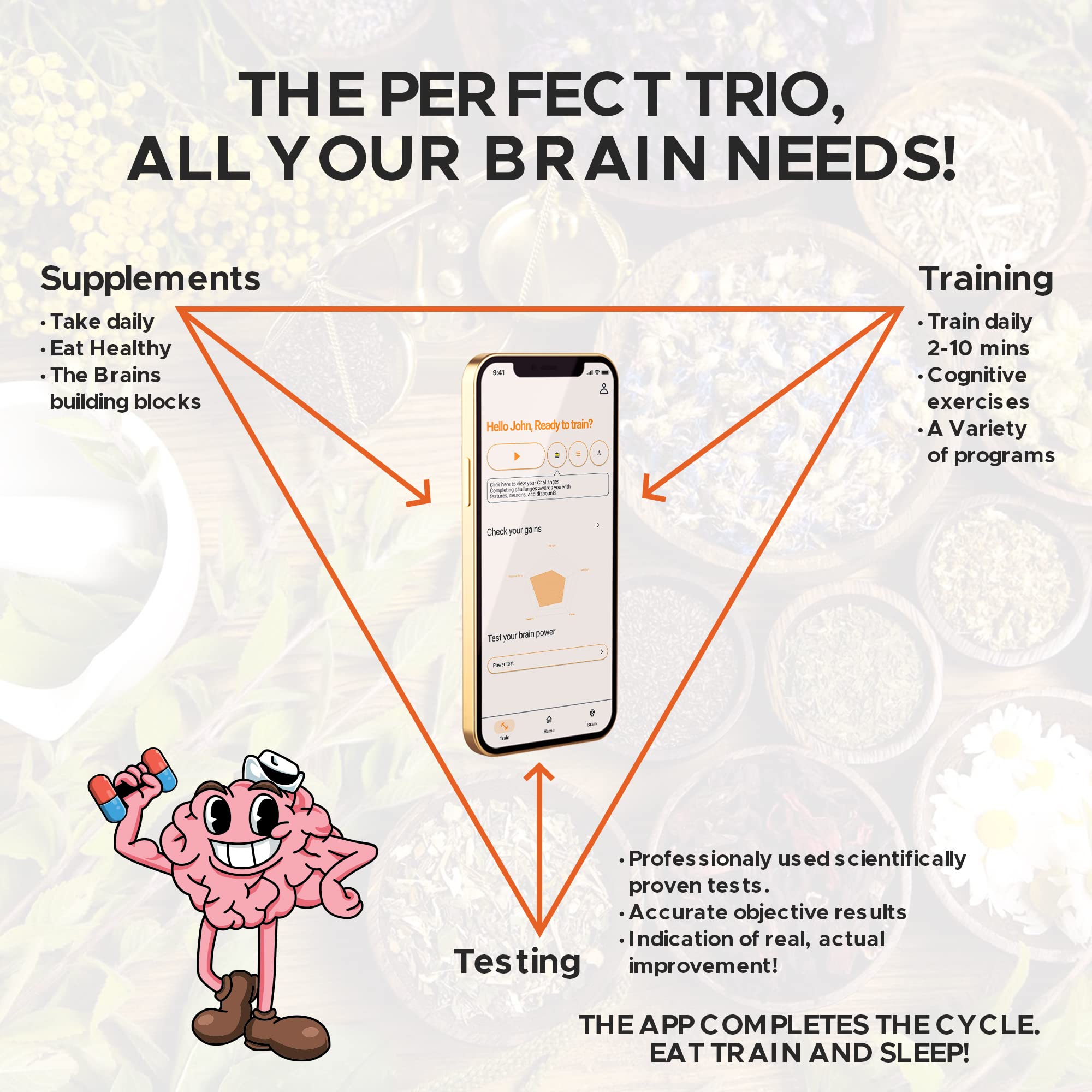enhance cognitive function with Brain Gain