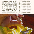 enhance cognitive function with herbs