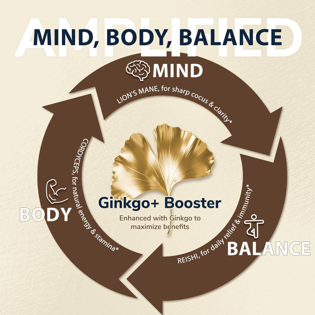 enhance cognitive function with lion's mane