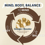 enhance cognitive function with lion's mane