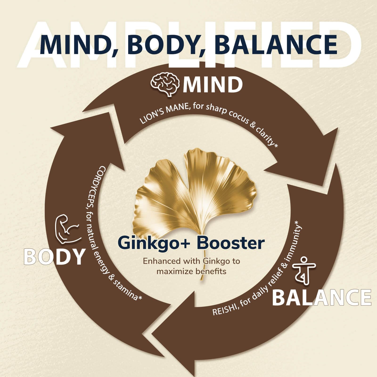 enhance cognitive function with lion's mane