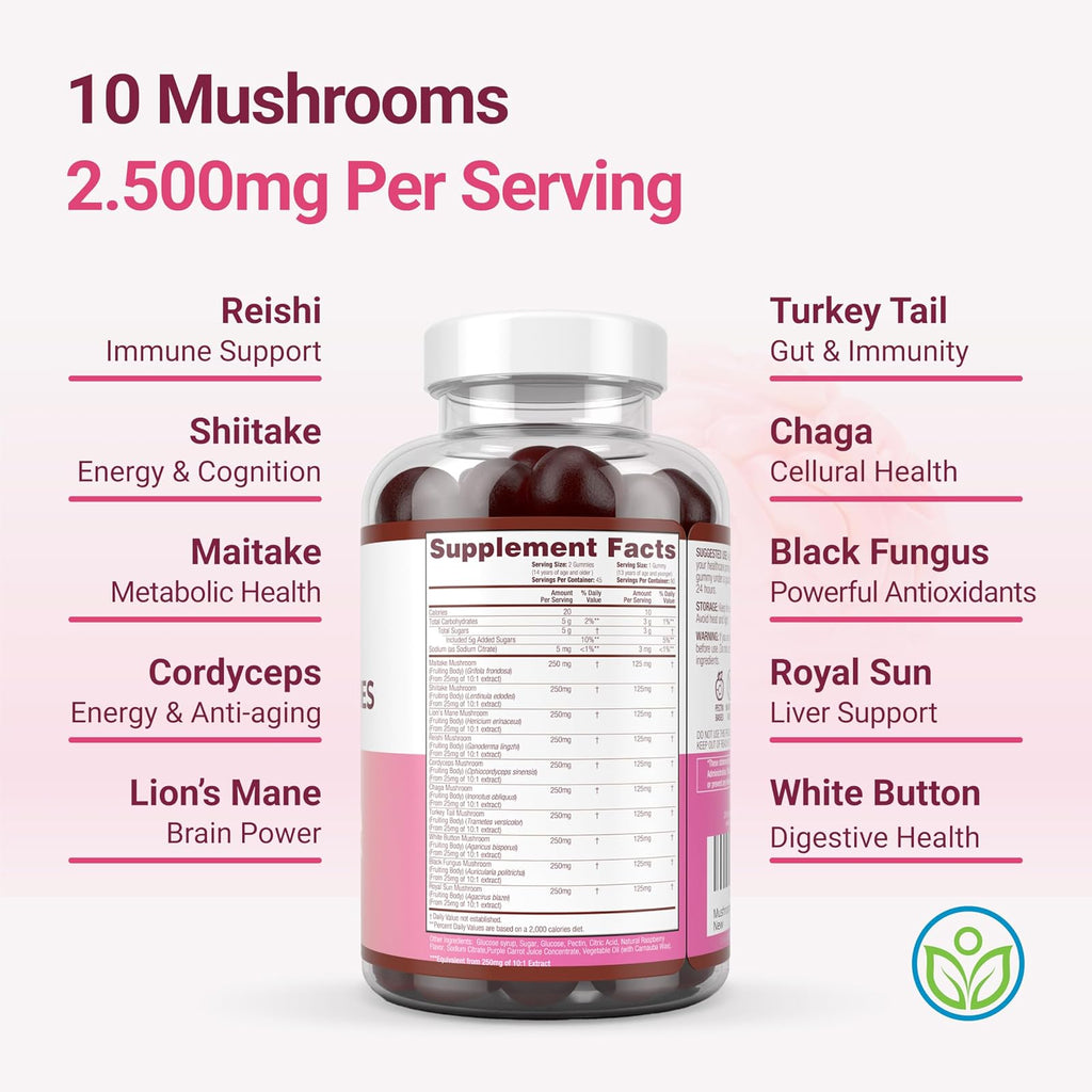 enhance cognitive function with lion's mane