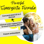enhance cognitive function with lion's mane