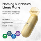 enhance cognitive function with lion's mane