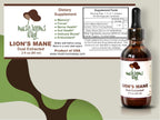 enhance cognitive function with lion's mane