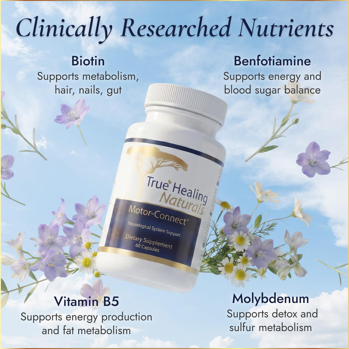 enhance cognitive function with multivitamins