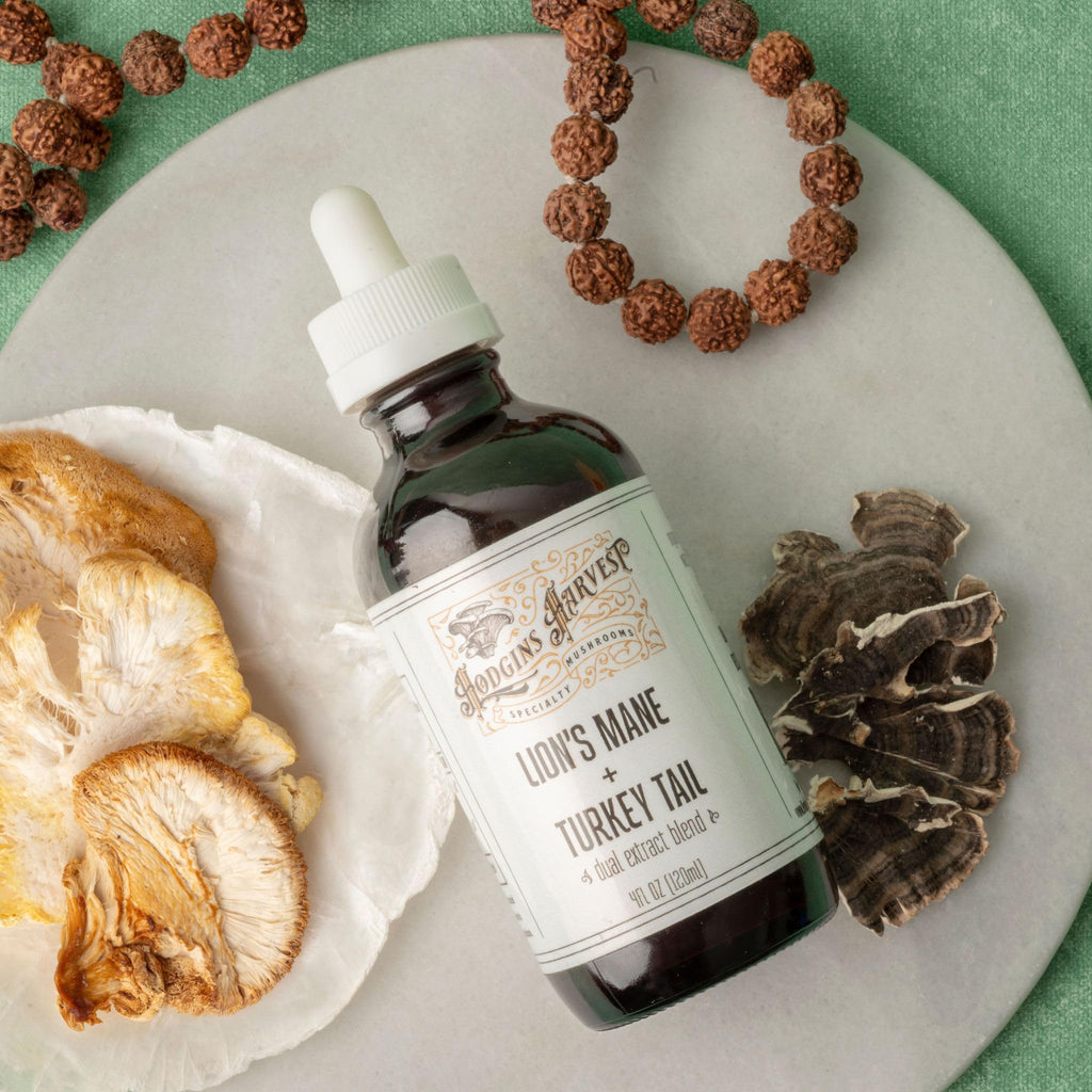 enhance cognitive function with mushrooms