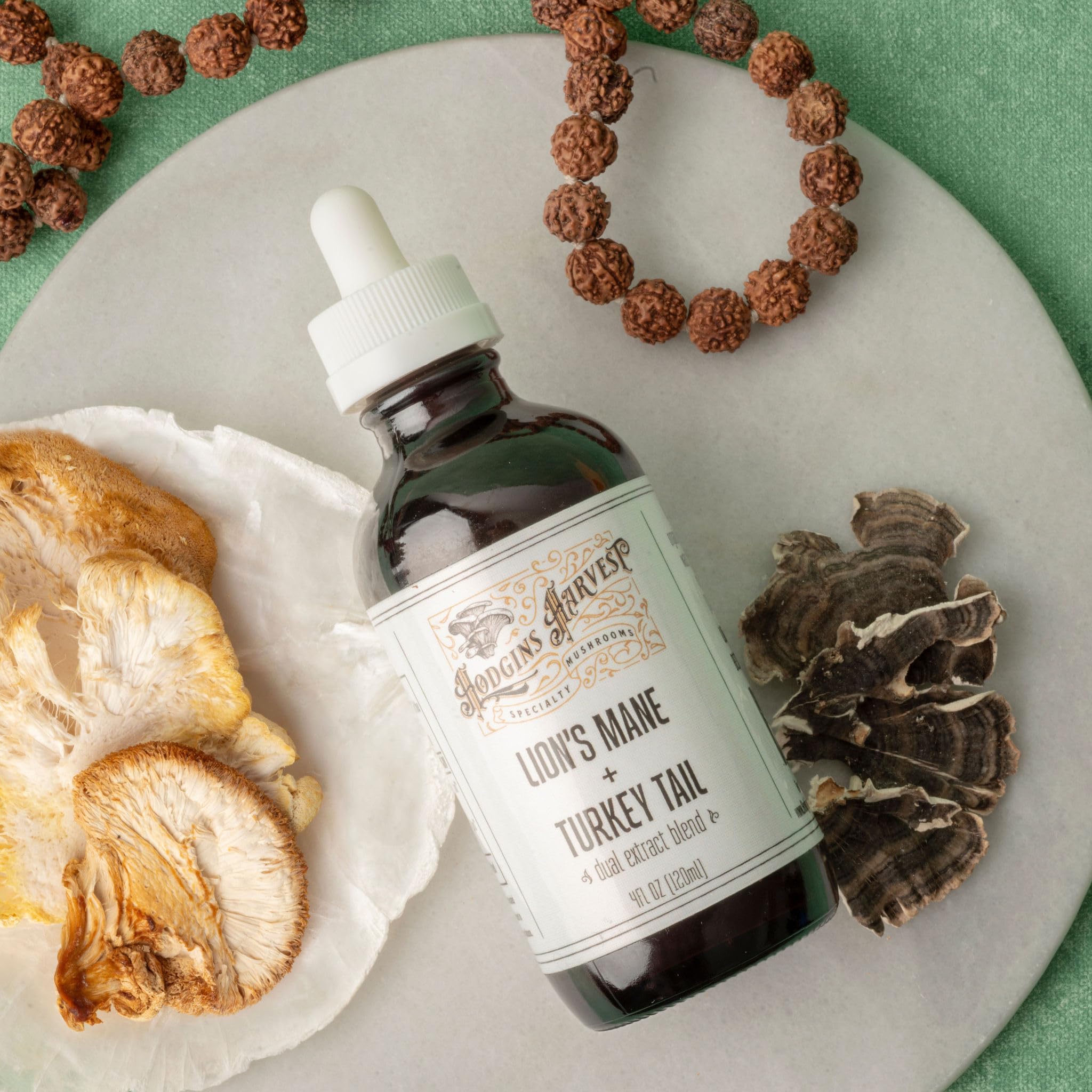 enhance cognitive function with mushrooms