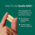 Enhance cognitive function with NAD+