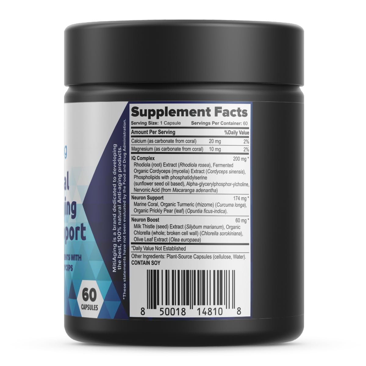 enhance cognitive function with supplements