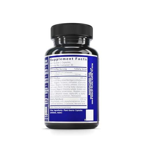enhance cognitive function with supplements